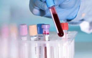 About Us | EntroGen, Inc.